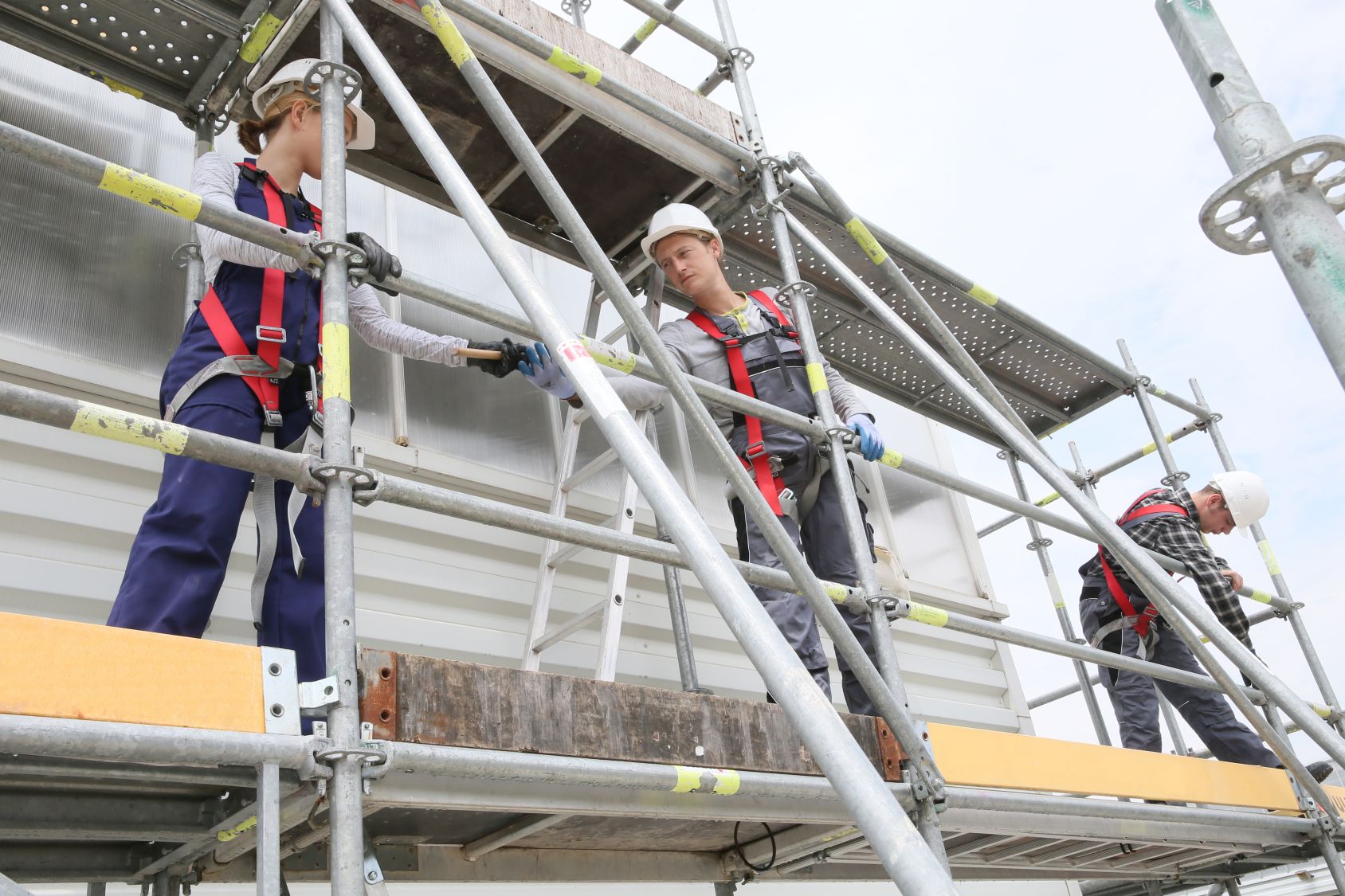 Basic Scaffolding Ticket | Licence to Erect, Alter and Dismantle ...